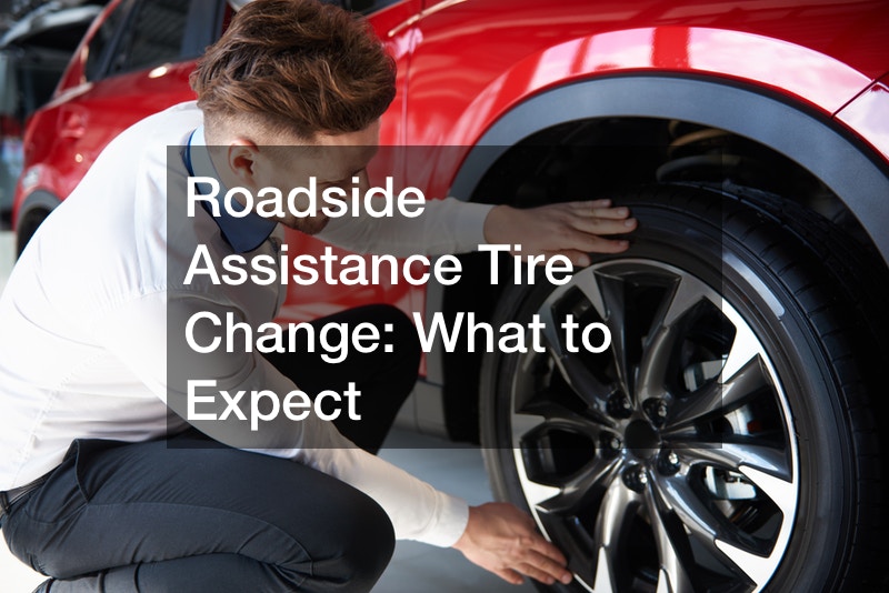 Oil, Brakes and Engines, Oh My! How to Take Care of Your Car - Your Oil